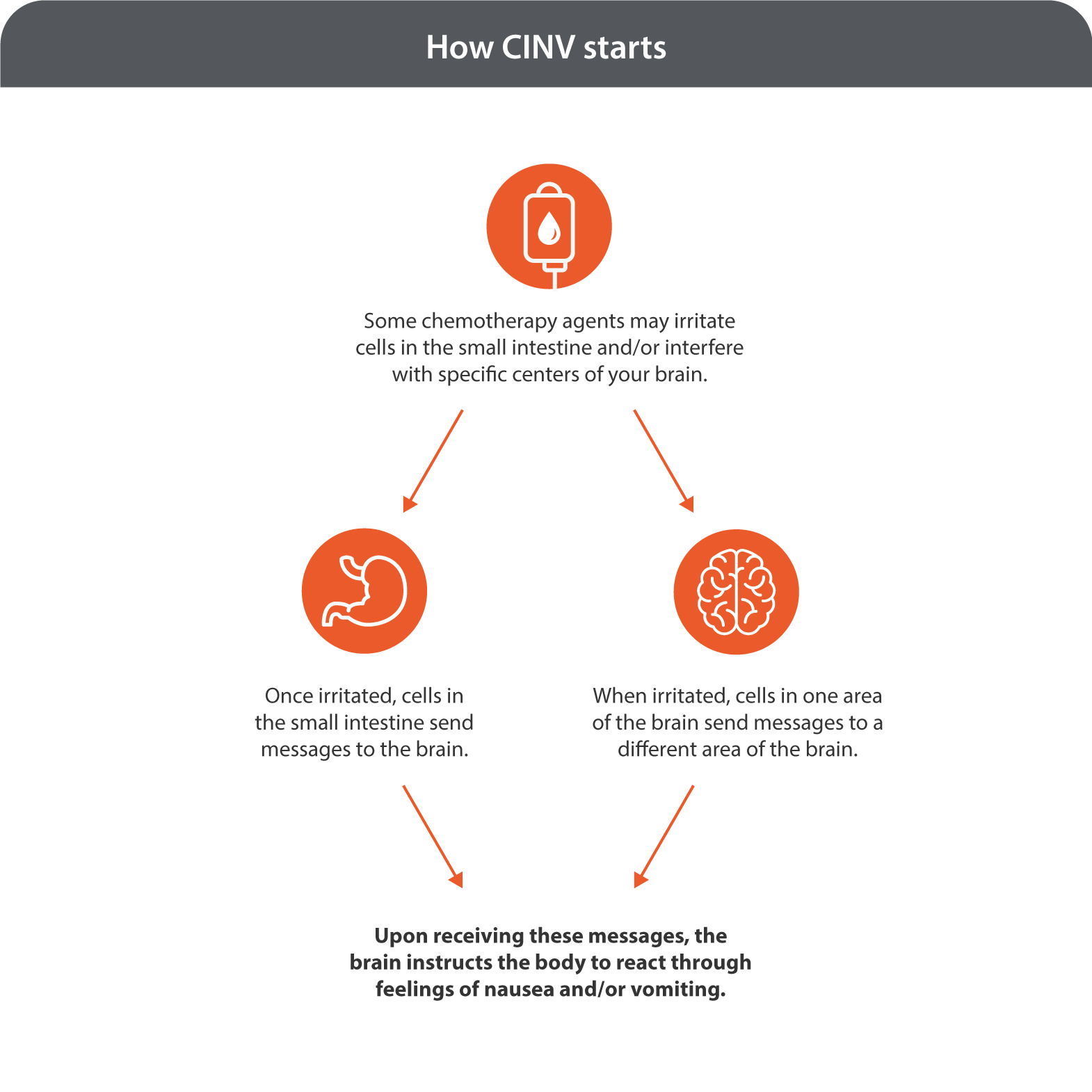Mechanisms of Chemotherapy-induced Nausea and Vomiting – Grunenthal ...